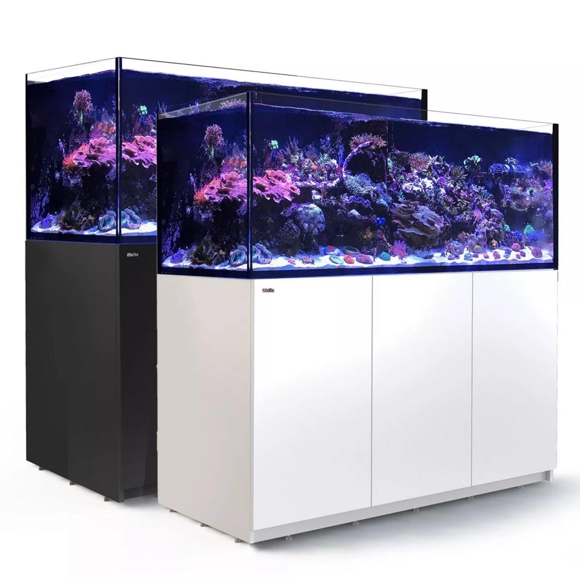 Red Sea REEFER G2 XXL 625 – Concrete Blonde Aquatics